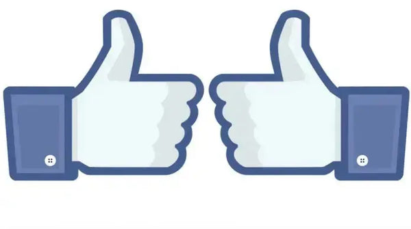 Instant Facebook Photo Likes Provided by Instant Famous